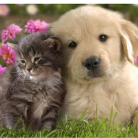 python：OSError: [WinError 10022] 提供了一个无效的参数 - 知乎