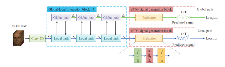 【rPPG论文阅读】Learning SpatioTemporal Pulse Representation With Global-Local Interaction and ...