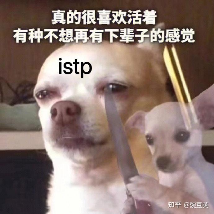 ISTP性格特征是什么？|Mbti解析 - 知乎