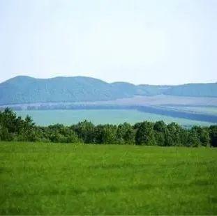 中华人民共和国林业行业标准（LYT 1812-2021）林地分类全文 - 知乎