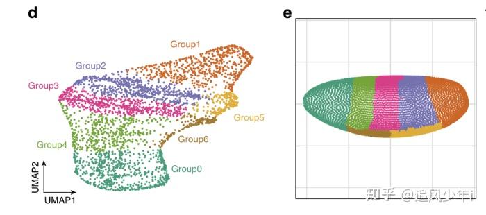 10X单细胞空间联合分析之十一（CellTrek） - 知乎
