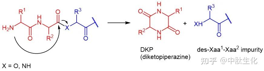 中肽技术 | 常见多肽杂质类型、形成机理及应对方案（2） - 知乎