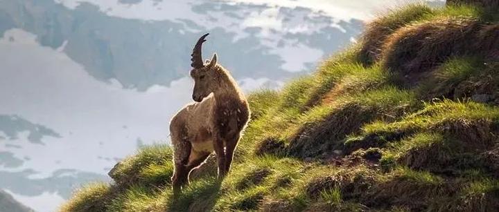 菲律宾MNL海关清关要求 - 知乎