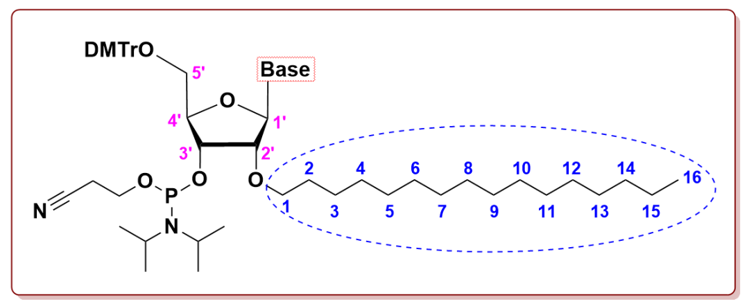 「Alnylam」发刊 C16-siRNAs缀合疗法效果显著丨C16单体速览 - 知乎
