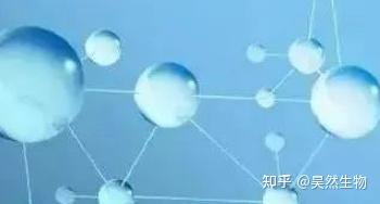 AF594标记刀豆蛋白A,Alexa Fluor 594-Con A,AF594/ConA - 知乎