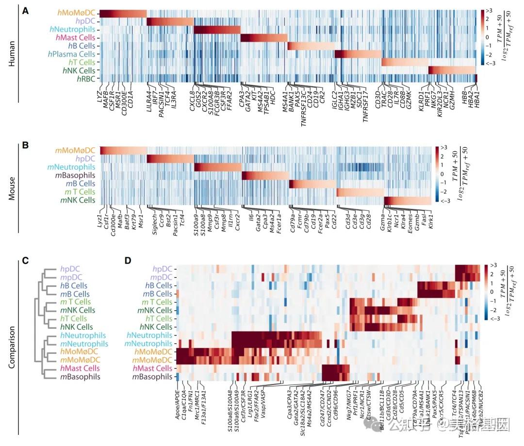 单细胞注释干货：自动化注释+人工注释解析及marker基因筛选指南 - 知乎