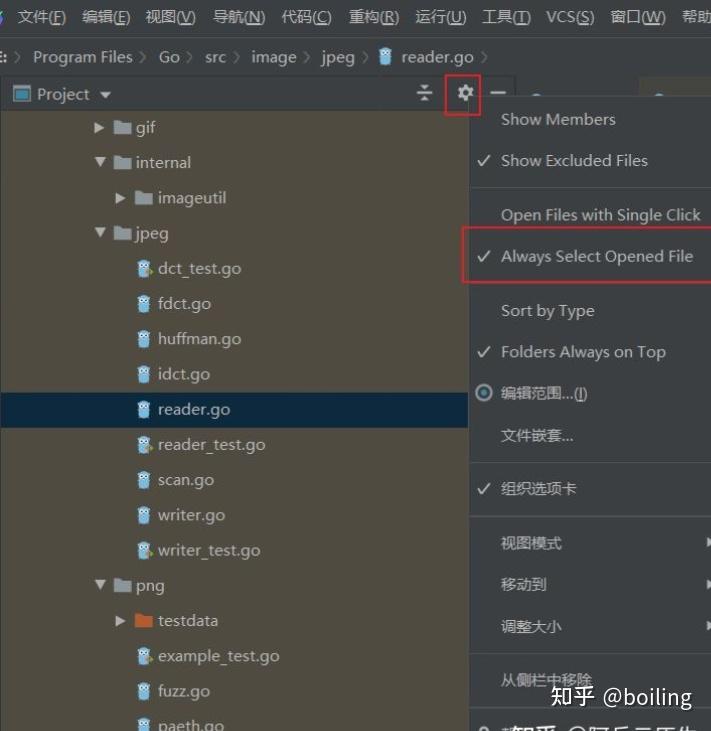 熟练使用go-IDE: Goland - 知乎