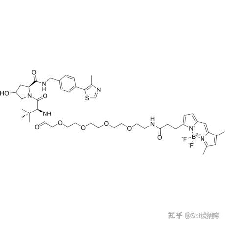 2770675-66-4，BODIPY FL VH032可用于高通量鉴定和表征VHL配体 - 知乎