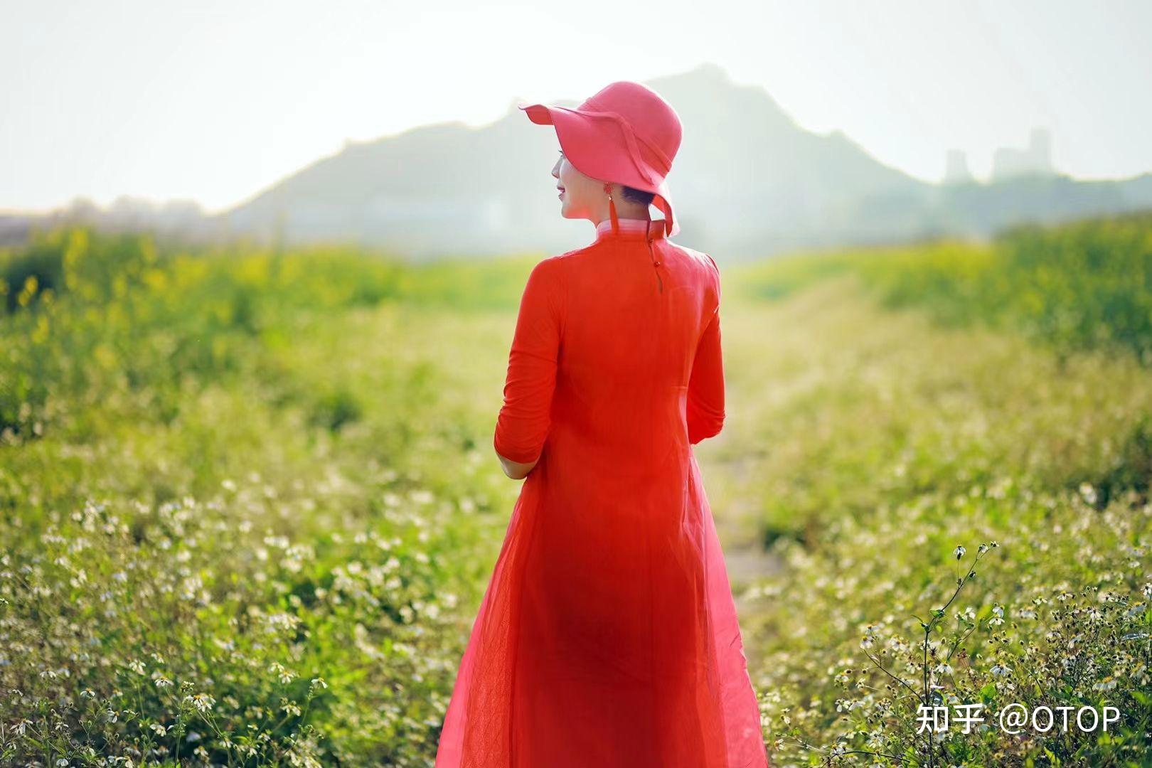 HIBL go，是做什么的？ - 知乎