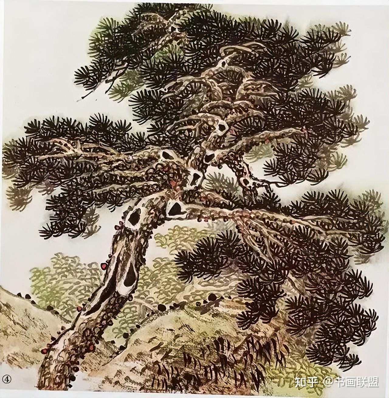 国画技法 松树的各种画法 - 知乎