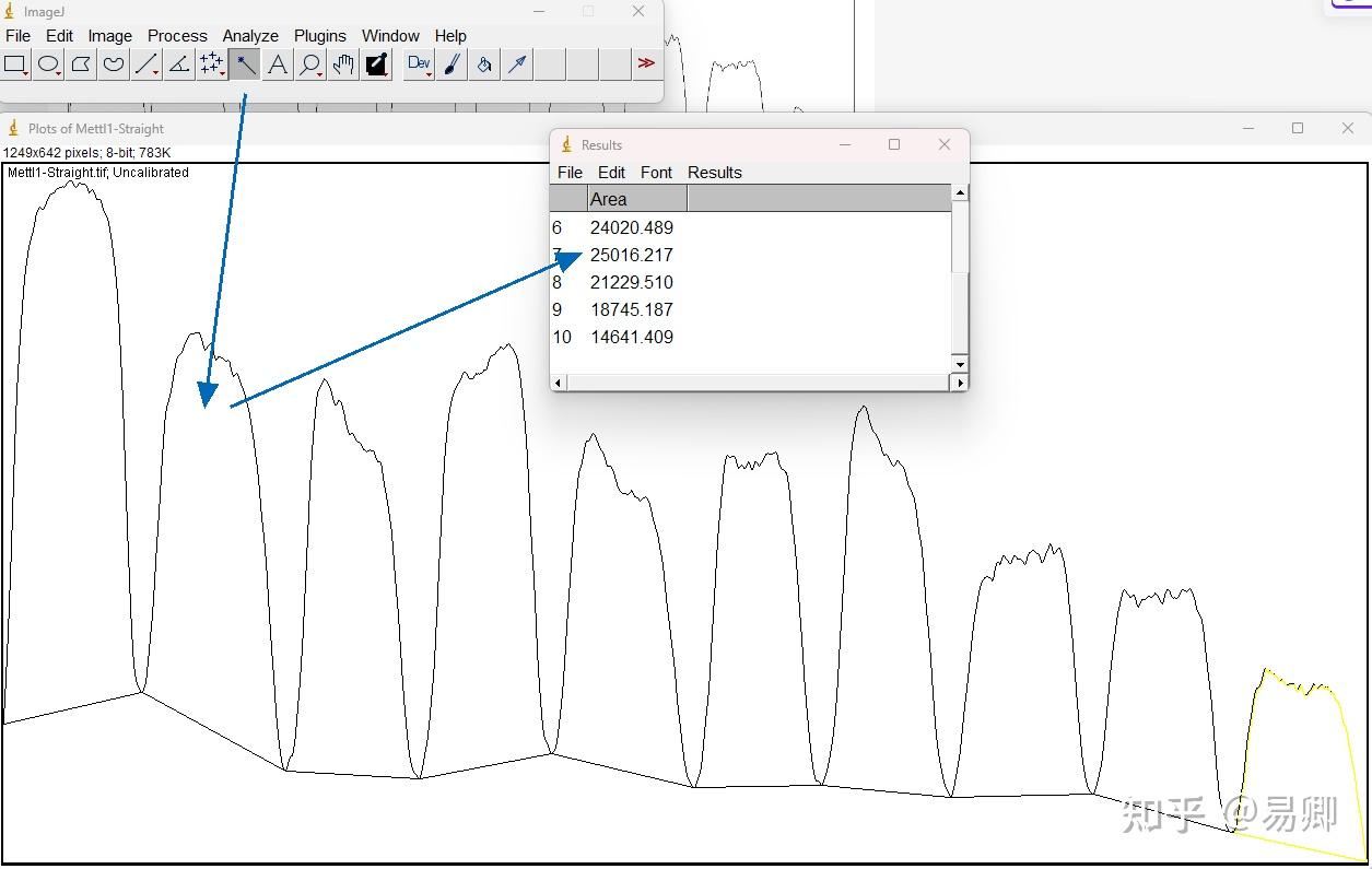 一文读懂！Image J与WB图像的处理与分析 - 知乎