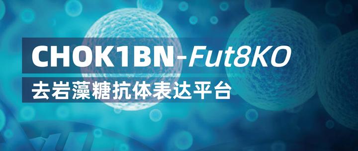 重磅上市 | 百英生物CHOK1-FUT8去岩藻糖抗体表达平台 - 知乎