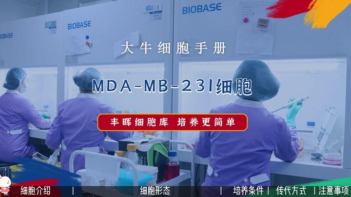 MDA-MB-231细胞培养，人乳腺癌细胞培养攻略 - 知乎