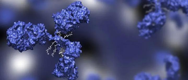 支持siRNA靶向递送与ADC研究，金斯瑞蛋白定点修饰技术成果发表在BIOCONJUGATE CHEM杂志！ - 知乎