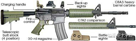 如何评价彩虹六号围攻中buck的c8这把枪？ - 知乎