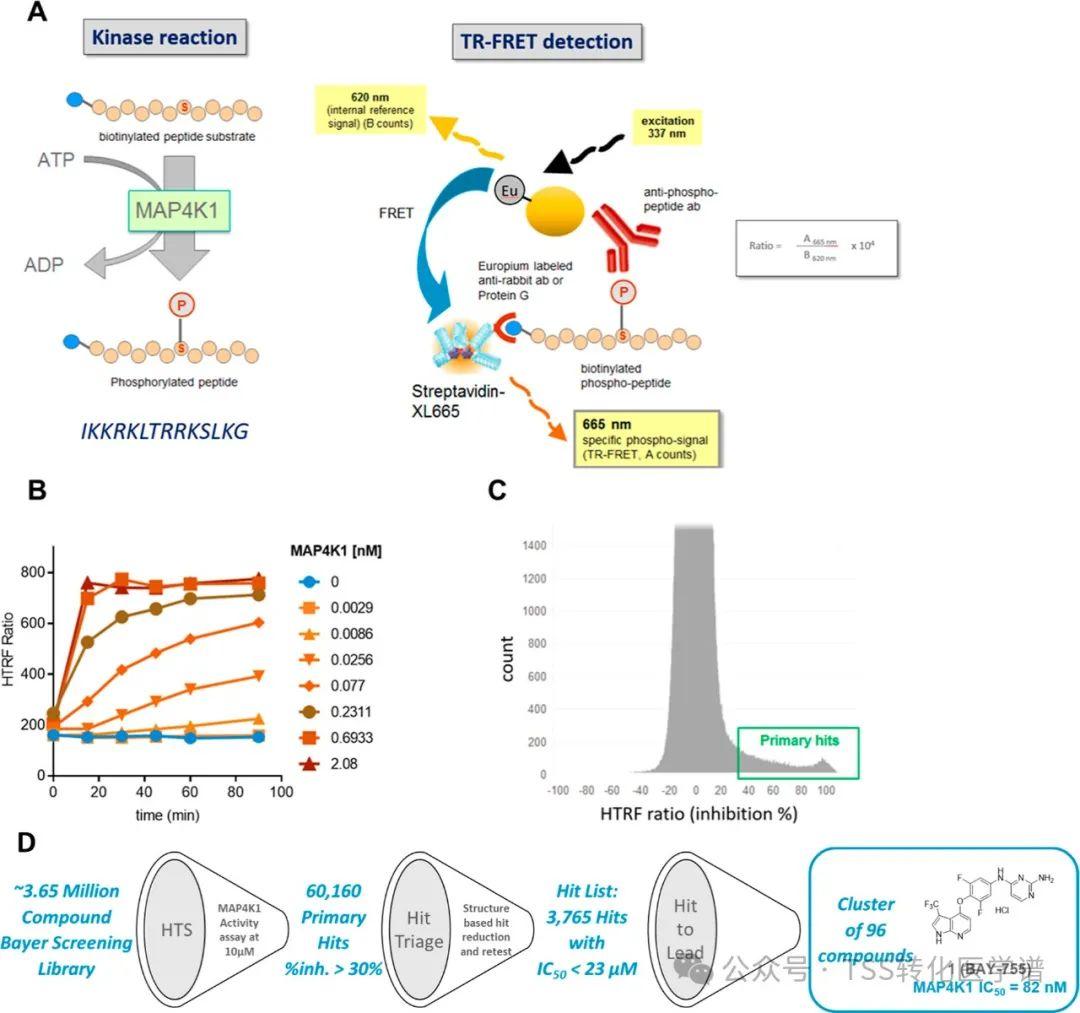 【JMC】拜耳 HPK1 (MAP4K1) 抑制剂 BAY-405 的分子发现与设计 - 知乎