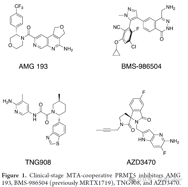 药渡Cyber解析一种用于治疗MTAP缺失型癌症的强效选择性MTA协同PRMT5抑制剂TNG462的发现 - 知乎