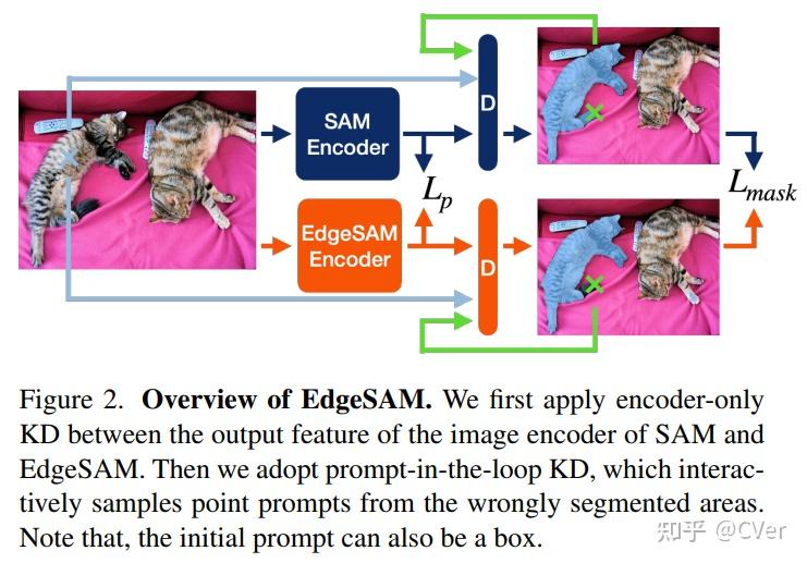 加速40倍！EdgeSAM：在移动设备上高效部署SAM - 知乎