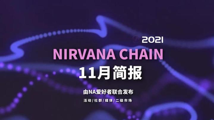 NA（Nirvana）Chain 11月项目简报 - 知乎
