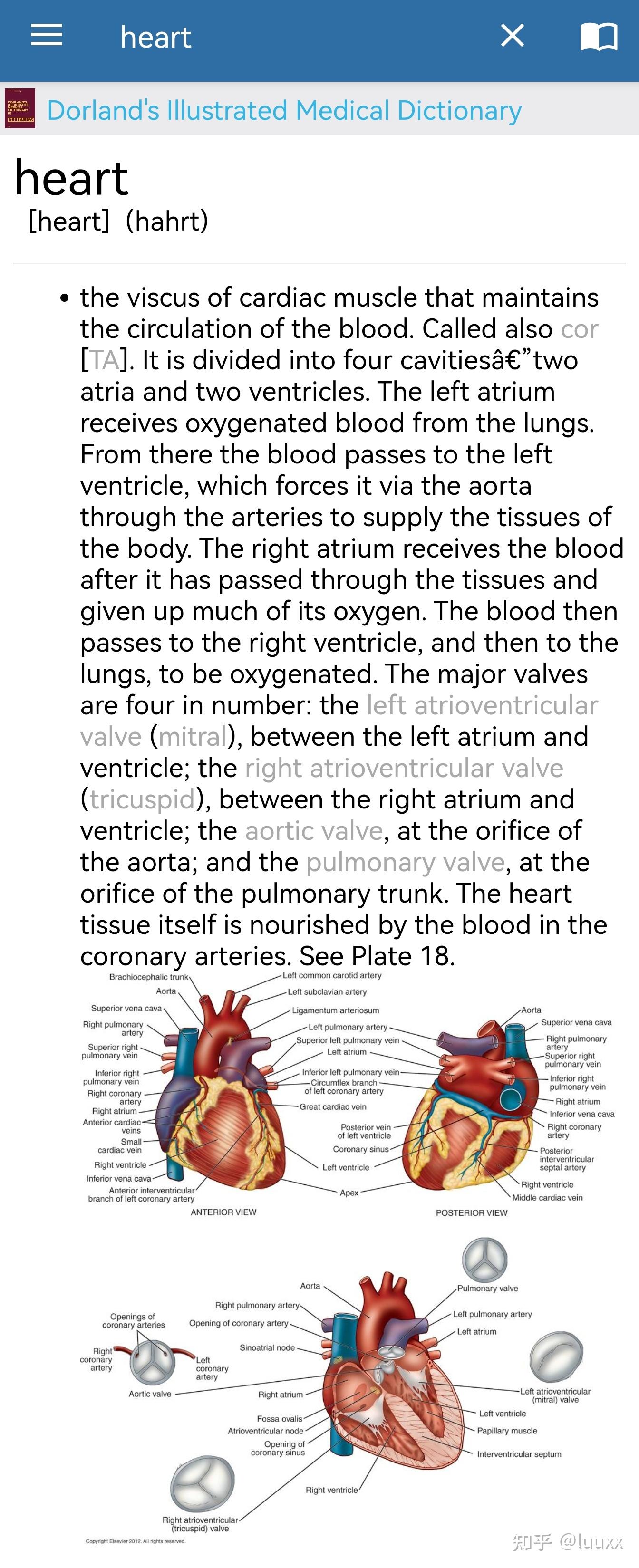 MDict——界面简洁而功能丰富的移动端字典APP - 知乎