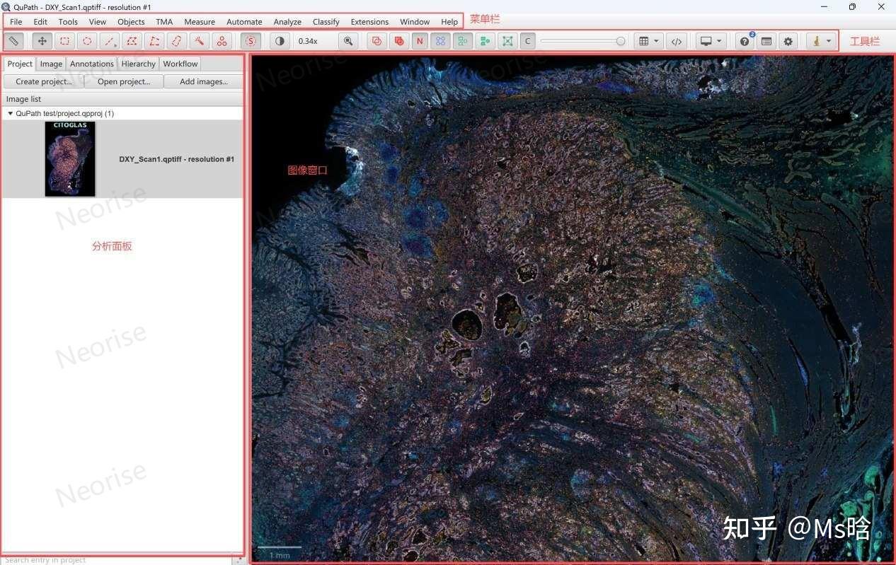QuPath使用指南②：界面认知与基础标注 - 知乎