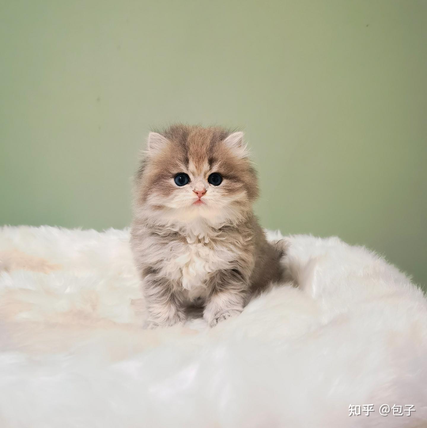 金渐层 | 一分钟教你学会看色号（ny11/ny12/ny25的含义及判断） - 知乎