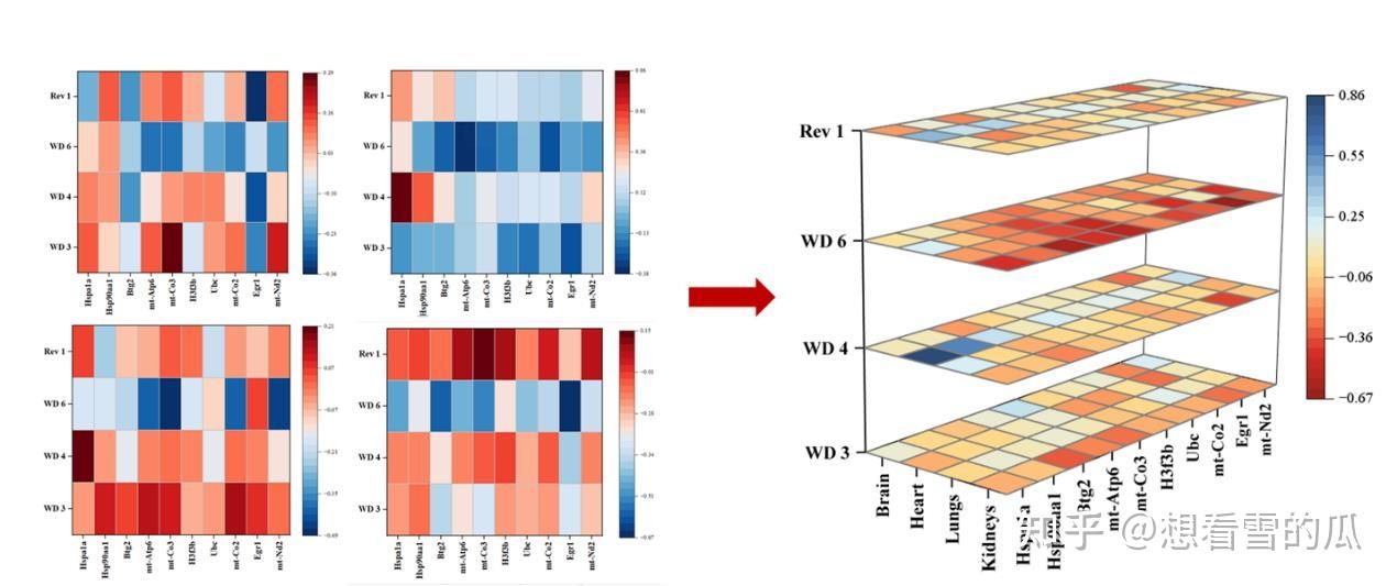 Origin将普通热图升级为高级的3D堆叠热图 - 知乎