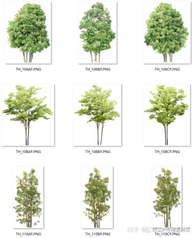 270款超棒的网红小清新手绘风and写实风立面树素材（1.2G） - 知乎