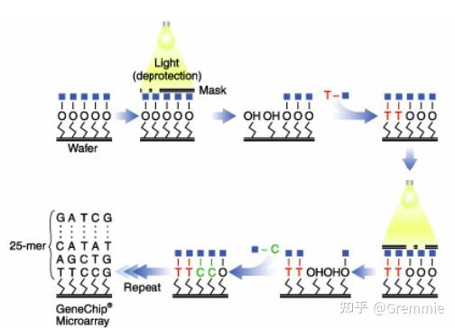一篇入门Biochip(生物芯片)万字手册 - 知乎