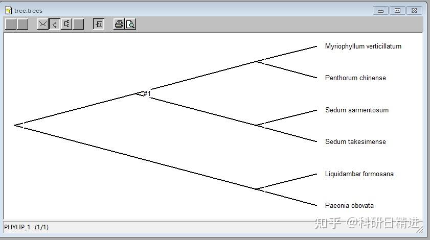 实用干货教程！学会用PAML计算选择压力 - 知乎