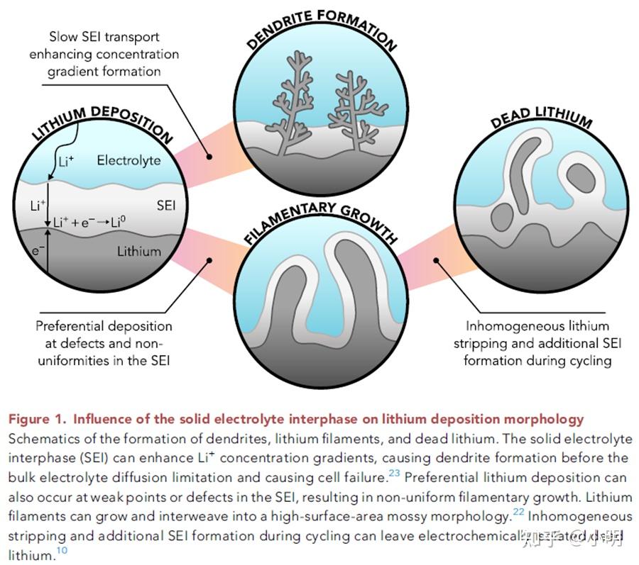 文献分享：Solid electrolyte interphases in lithium metal batteries - 知乎