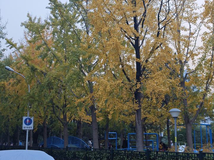 Markdown 博客写作图片自动上传到 CSDN 与博客园 - 知乎