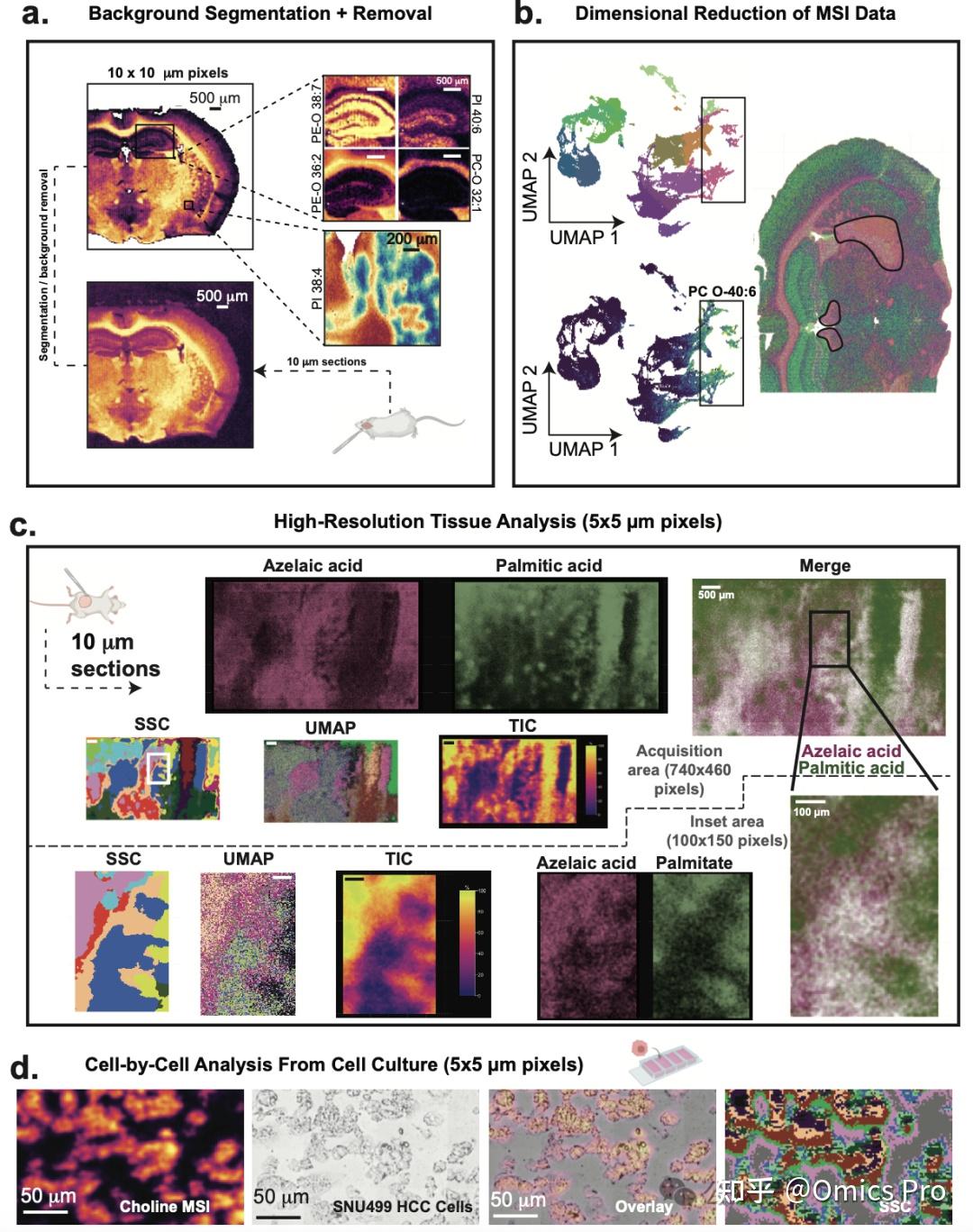 15分钟搞定578个样本！MSI.EAGLE让质谱成像分析零代码 - 知乎