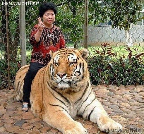 [WTF Abaqus] odb节点坐标序号问题&获取节点变形后位置 - 知乎