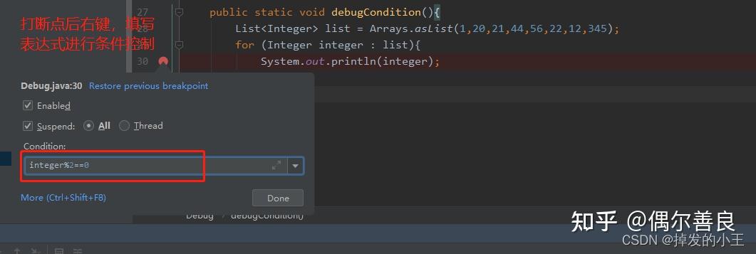 IDEA高级Debug使用——对lambda表达式进行加断点，条件断点 - 知乎