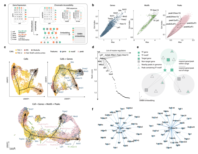 bioRxiv | SIMBA:基于图嵌入的单细胞特征提取模型 - 知乎