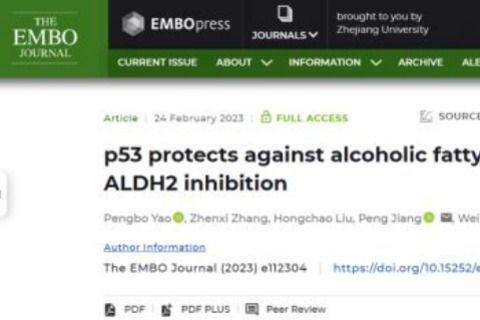 EMBO J | 合作揭示P53通过抑制ALDH2保护酒精性脂肪肝 - 知乎