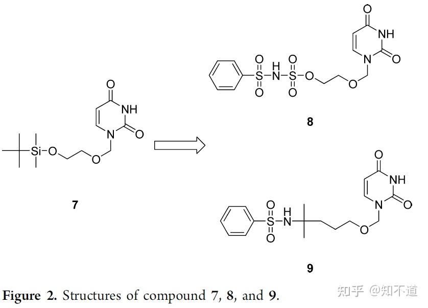 人dUTPase抑制剂compound26的发现历程 - 知乎