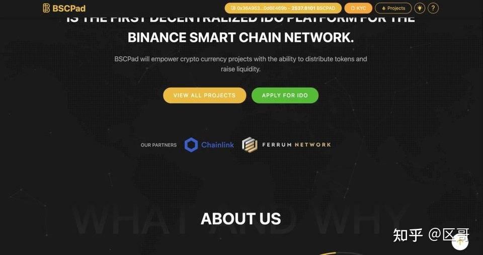 BSC 入门指南：概览 BSC 常见问题和代表项目 - 知乎