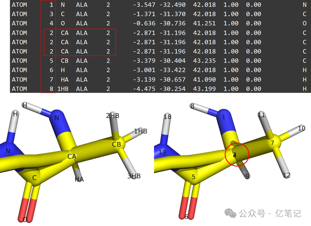 Pymol|Pymol中Atom Identifiers中的rank/ID/index的异同 - 知乎