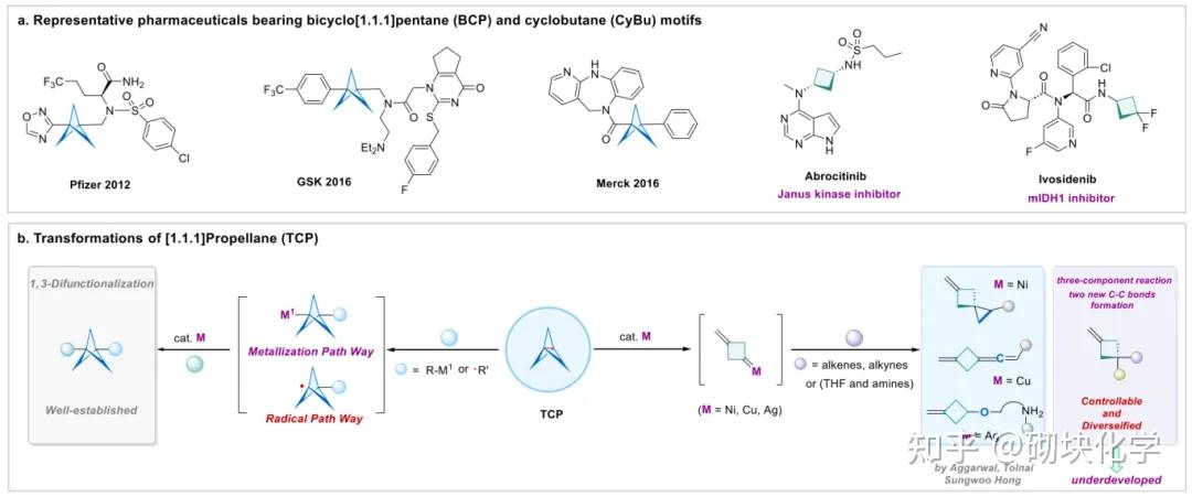 DFASs试剂｜解锁分子修饰全新技能 - 知乎