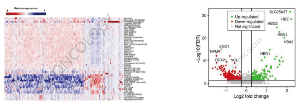 PDOX模型药物评价 - 知乎