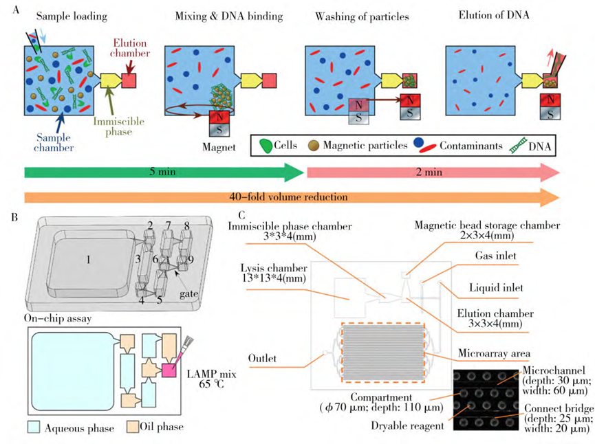 基于微流控的核酸提取技术 - 知乎