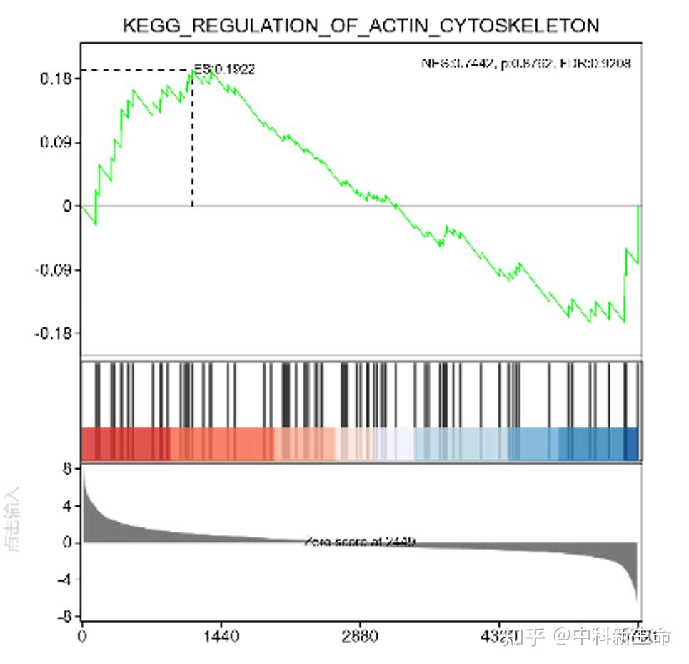 GSEA分析加分项：能标注目标基因的工具才够实用！中科新生命云平台功能详解 - 知乎