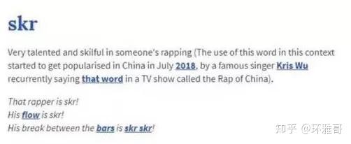 最近爆火的skr，到底skr啥？ - 知乎