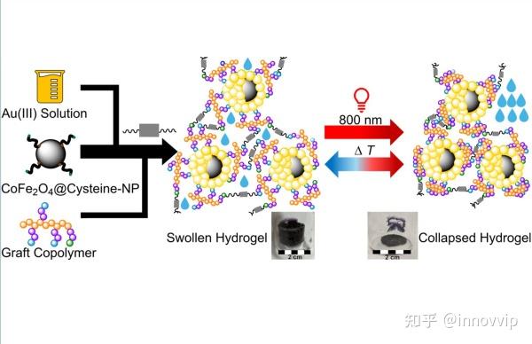 CT*22# Helmholtz-Zentrum hereon GmbH：材料物理研究所 - 知乎