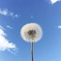 Cannot use @TaskAction annotation on method DataBindingGenBaseClassesTask.writeBaseClasses - 知乎