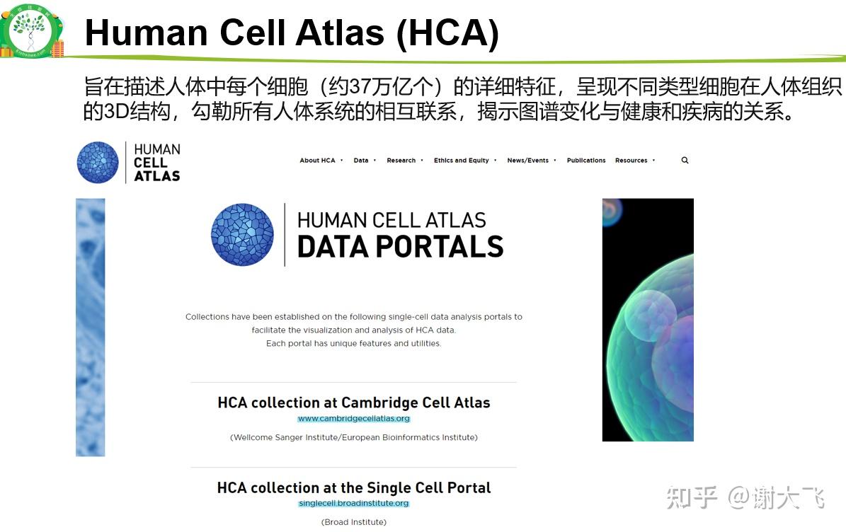 单细胞数据获取及格式介绍 - 知乎