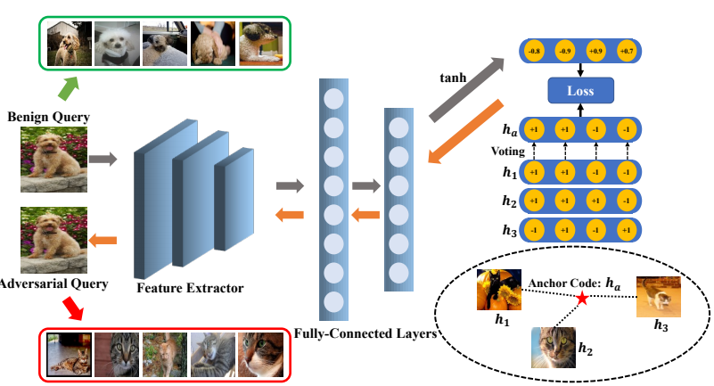 ECCV 2020 Oral 论文汇总！ - 知乎