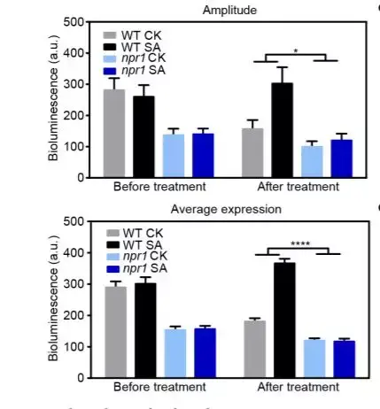 数据图美化实操教程：手把手教你画出Nature同款Column图 - 知乎